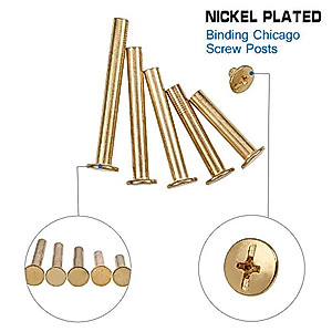 INCREWAY Phillips Screws, 100 Sets 5mm X 25/30/35/40/45mm Brass Plated Chicago Binding Screws, Round Cross Head Stud Screw Posts Nail Rivet Chicago Button, Brass Tone