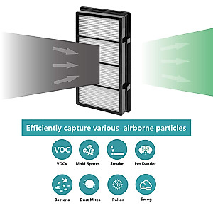 Lhari HAPF300 True HEPA Filter, Compatible with Holmes AER1 HAPF300, HAPF30 and Bionaire Units, Allergen Remover, Pack of 2