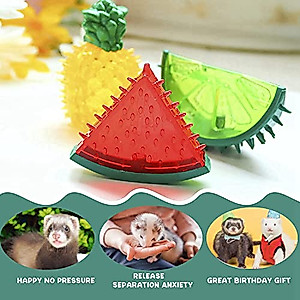 HAICHEN TEC 3 Pack Ferret Cooling Chew Toys, Frozen Fruit Shape Teething Toy for Ferret, Durable Bite Resistant Summer Interactive Squeaky Toys Pet Treat Training Tools for Small Animal (3 Pack)