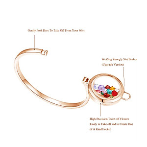 BG247 Stainless Steel 30mm Glass Floating Memory Living Locket Bangle Bracelet (Rose Gold Rhinestone Circle, 8)