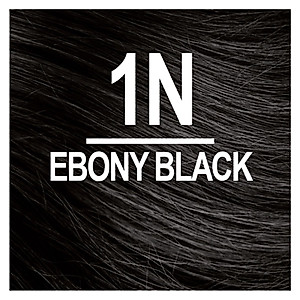 Naturtint 1N Ebony Black Permanent Hair Color (Pack of 6), Ammonia Free, Vegan, Cruelty Free, up to 100% Gray Coverage, Long Lasting Results (Packaging may vary)