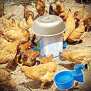 MYGIIKAKA Chicken Waterer Larger Automatic Chicken Waterer Cups DIY Poultry Chicken Waterer Kit 5 Gallon for Chicken, Duck, Goose, Rabbit (6 Pack)