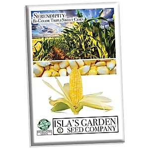 "Serendipity" Bi-Color Sweet Corn Seeds for Planting, 75+ Seeds Per Packet, (Isla's Garden Seeds), Non GMO & Heirlooom Seeds, 90% Germination Rates, Botanical Name: Zea Mays, Great Home Garden Gift