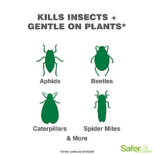 Safer Brand Garden SG5110 Insect Control and Killer Spray – Kills Aphids Beetles, Boxelder Bugs, Caterpillars, Earwigs, Spider Mites, Stink Bugs & More – Natural Oils Gentle on Plants – 24 fl oz