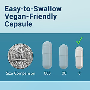 MyoActivo 5-in-1 Magnesium Complex - High Absorption - Chelated Magnesium Glycinate, Malate, Citrate, Taurate, & Aspartate for Nerves, Muscles, Bones | 120 Capsules | Magnesium Supplement