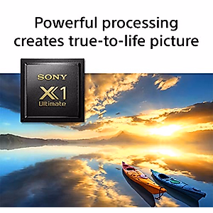 Sony XBR-48A9S 48-inch MASTER Series BRAVIA OLED 4K Smart HDR TV - 2020 Model