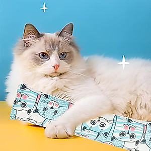 3 Pack Catnip Toys, Natural Interactive Catnip Cat Kicker, Bite Resistant Chew Toy, Crinkle Kicker, Accessories for Indoor Cat for Cat Lovers Dental Health Chew Toy