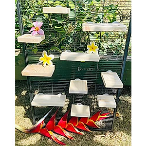 10 Piece Kiln Dried Pine Wood Ledges, Platfrom, Steps for Chinchillas, Rats, Birds and Caged Critters. Chinchilla Cage Accessories.