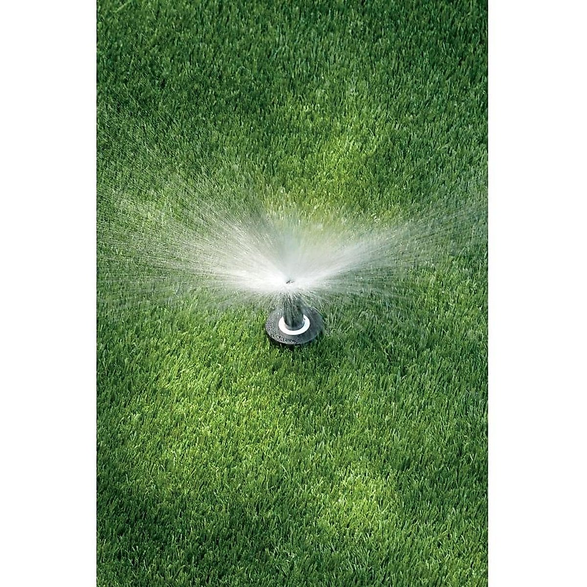 Rain Bird 8AP Adjustable Pattern Spray Nozzle, Adjustable 0° - 360° Pattern, 6' - 8' Spray Distance