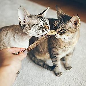 HomeDoReMi Cat Toy 5 Packs , King Size Cat Chew Toy, Kitten Teething Toys, Cat Chew Toys for Aggressive Chewers, Silvervine Chew Sticks for Cats, Catnip Sticks,Calm Cat Anxiety and Stress