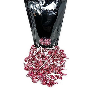 Red Raspberry Only Tootsie Pops Bulk Candy 60 Count Lollipops Suckers Variety Value Pack Aprox. 2.5 lbs (40 Oz) Packaging Might Vary
