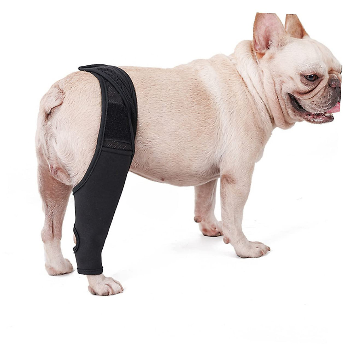 Balacoo Leg Sleeves Puppy Knee Brace Dog Leg Support Paw Balm Dogs Lick Safe Dog Braces for Dogs Knee Support Dog Recovery Sleeve Dog Leg Sleeve Dog Care Pet Mesh Fabric Leg Brace