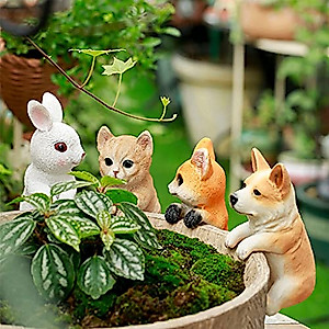 OXSNice Miniature Fairy Garden and Terrarium Flower Pot and Vase Hugger Ornaments Flower Animal Pots Hanging Garden Flower Pots Balcony Pendant Ornaments (Two Cats)