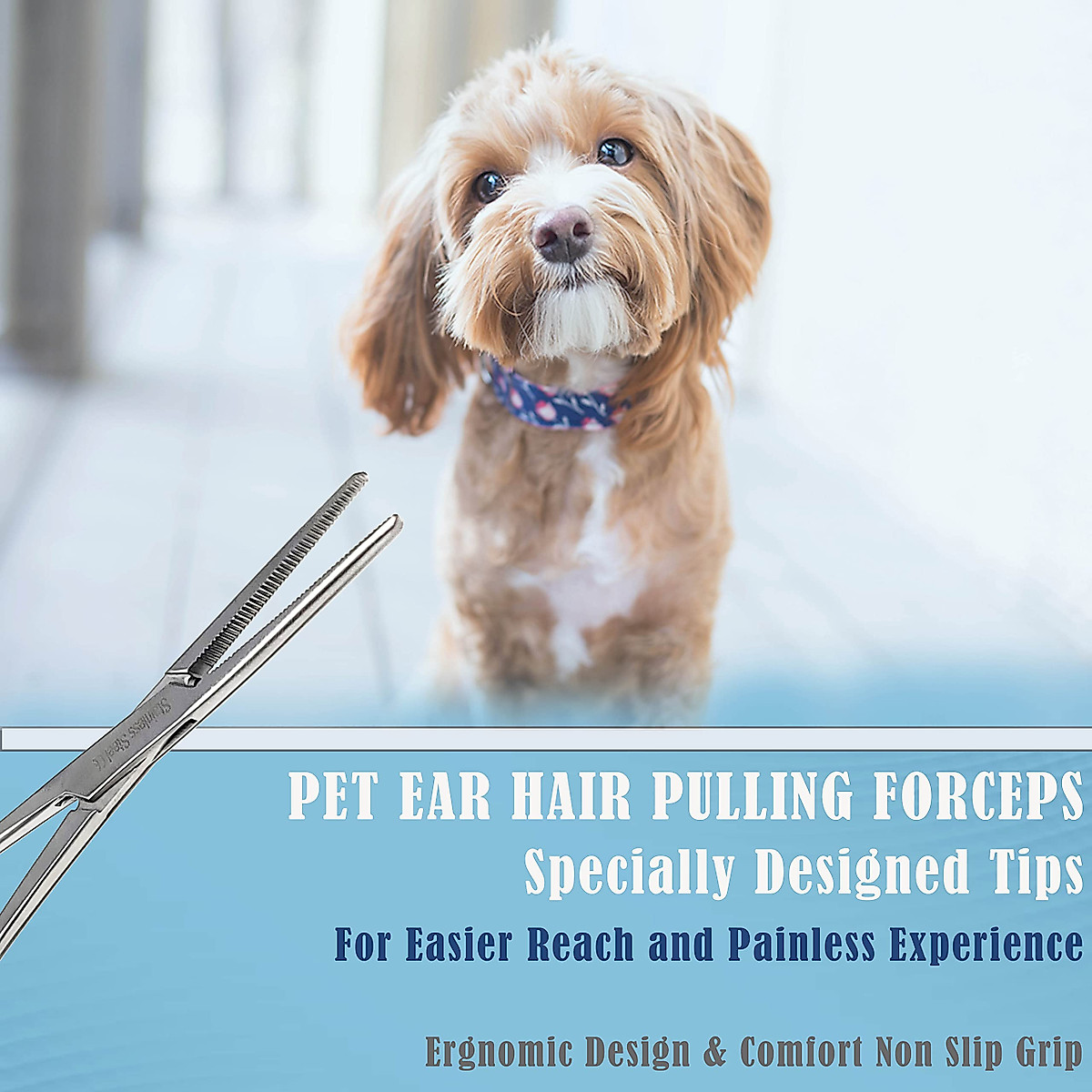 Dog Pet Ear/Nose Hair Puller Grooming Hemostat Locking Forceps Pliers, 5.5" (14cm), Straight