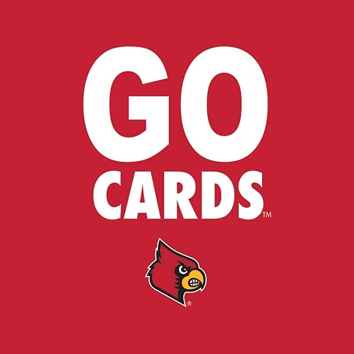 Skinit Decal Phone Skin Compatible with Moto E5 Play - Officially Licensed College Go Cards Design