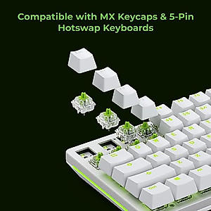 Glorious Raptor Clicky Switches for Mechanical Keyboards for Gaming: 36 PCS, 5-pin, Transparent for MAX RGB, Pre-Lubed, Compatible with MX Keycaps, Premium Click Bar for Thocky Sound