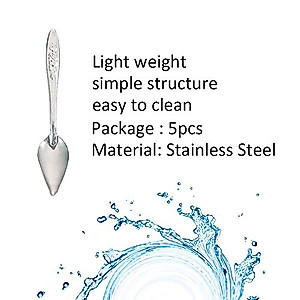 5 Pcs Bird Parrot Feeder Spoon Stainless Steel Milk Medicine Parrot Feeding Spoon for All Baby Bird Peony Cockatiel 4.7"