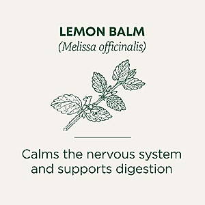 Traditional Medicinals Organic Lemon Balm Herbal Tea, Calming and Supports Digestion, (Pack of 2) - 16 Tea Bags