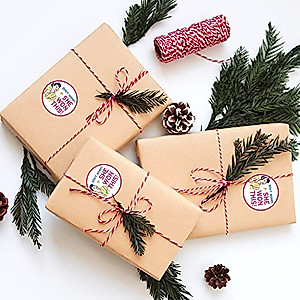 600 PCS Don't Worry She Won This Stickers, TNE Creator 1.5 Inch Small Shop Stickers Thank You Customer Appreciation Circle Sticker Labels for Small Businesses Packaging Sticker, Handmade Sticker