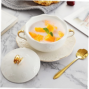 1 set Tea Lid Jar Lids with Relief Ice White Handles Disc Sealing Bowls for Seasoning Dessert Bird Ceramic Steam Holder Saucer Stock Casserole and Food Steaming Home Double