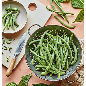 Burpee Blue Lake 47 Bush Bean Seeds 2 ounces of seed