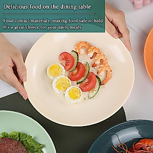 Evanda Plastic Plates Set of 8 Pieces, Dinner Plates 9.5 inch Unbreakable Reusable Dishes for All Purpose and All Age, Microwave Safe BPA Free Dishwasher Safe (Mutil Color)