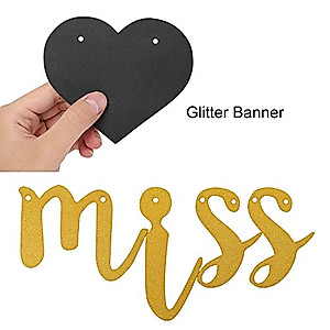 Farewell Party Decorations Supplies Kit - 14Pcs - We Will Miss You Banner, Triangle Flag, 6Pcs Star Swirl, 6Pcs Pom - Great for Retirement Farewell Going Away Job Change Party Decorations(Black Gold)