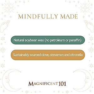 Magnificent 101 Abundance Large Glass Candle 14oz