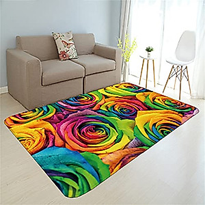 DUISE Modern Beautiful Floral Area Rug 3'x5' Faux Wool Multi-Colored Rainbow Roses Bedroom Rug Non-Slip Plush Throw Rug for Nursery Living Room Dorm Carpet(3'x5',Colorful)