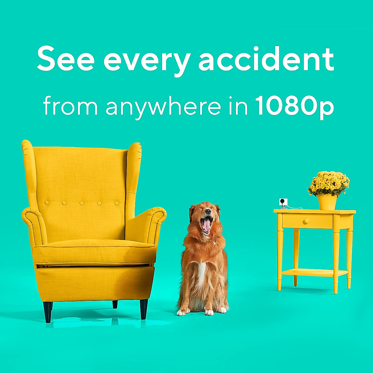 Wyze Cam V2 Pet Monitoring Camera Indoor Security Camera for Dogs & Cats Nursery Elderly Baby Monitor, Compatible with Alexa & Google Home IFTTT,1080p,Audio and Motion