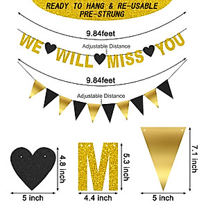 We Will Miss You Decorations Gold Glitter We Will Miss You Banner, Triangle Flag Garland, Star Hanging Swirls and Balloons for Office Leaving, Farewell, Goodbye, Going Away Party Decorations