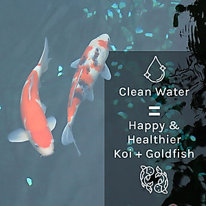 MICROBE-LIFT PL Pond Bacteria and Outdoor Water Garden Cleaner, Safe for Live Koi Fish, Plant Life, and Decor, 1 Gallon