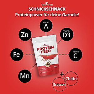 NatureHolic Proteinfeed, Shrimp Food, Protein Food, Made in Germany, Free from Fish Meal & Low-Quality Animal Meals, for Enhanced Shrimp Breeding & Growth