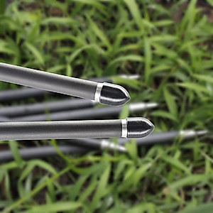 100 Grains Target Points Archery Field Points Arrow Tips Screw in Bullet and Combo Points for Crossbow Recurve Bow Compound Bow Hunting Shooting 100 PCS (11/32”-100 Grains Point-100 PK)