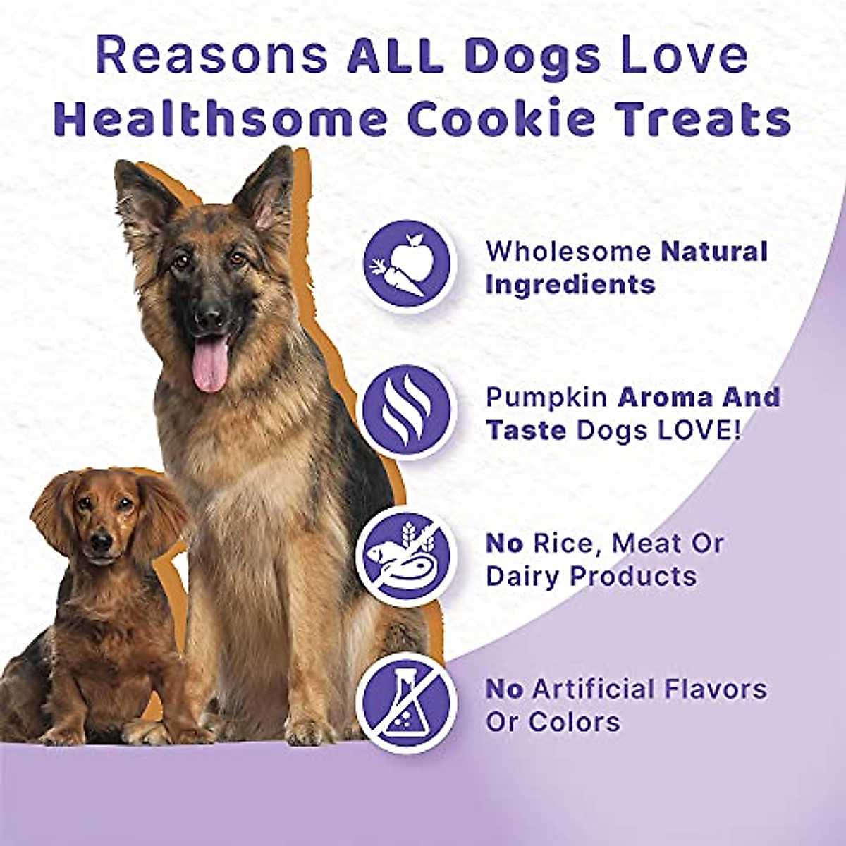 Halo Garden of Vegan Dog Treats, Training Treats for Dogs, Peanut N' Pumpkin 8oz Bag