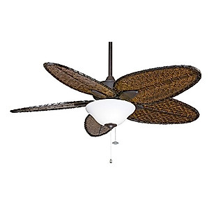 Fanimation Windpointe - 22 inch - Rust with Antique Narrow Oval Blades with Pull-Chain - FP7500RS