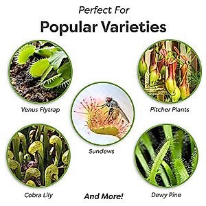 Perfect Plants Carnivorous Plant Soil | 4 Qts. Organic Premium Mix | Use with Venus Fly Traps, Pitcher Plants, or Other Carnivorous Plants