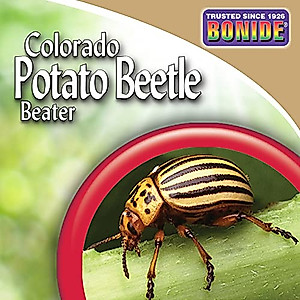 Bonide Colorado Potato Beetle Beater Concentrate, 16 oz Makes 8 Gallons for Organic Gardening and Vegetable Garden Insect Control
