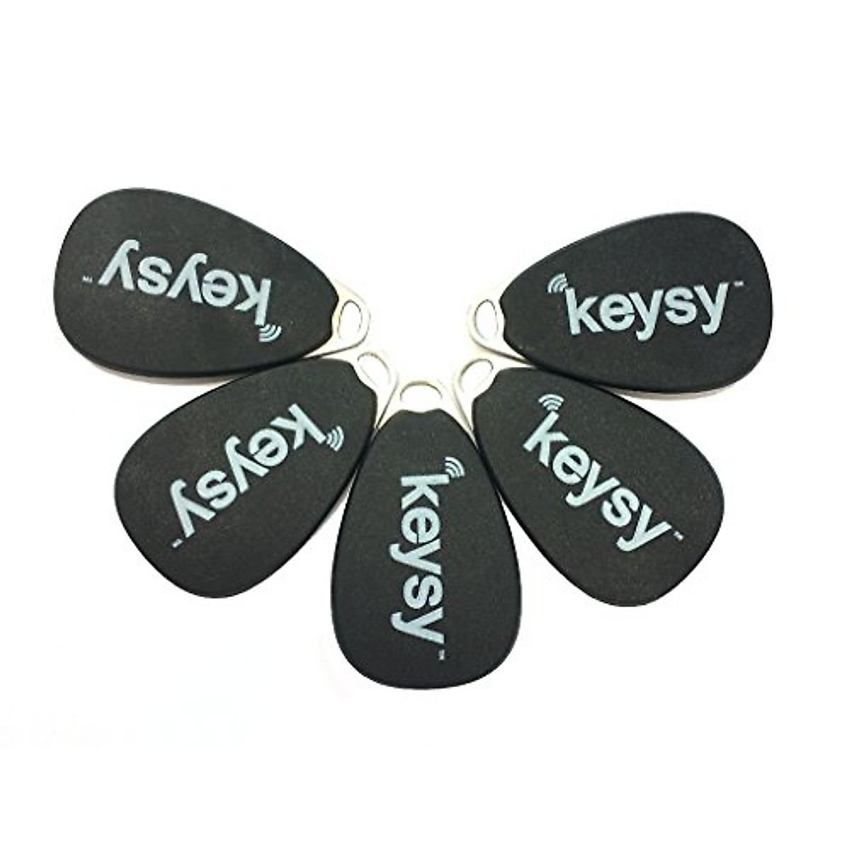 Keysy Rewritable RFID Key Fobs (5-Pack, Black)