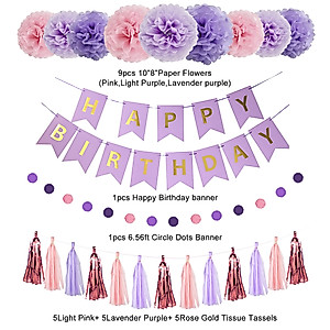 Amandir Purple Birthday Decorations for Women Girl Butterfly Birthday Party Decorations Supplies Pink and Purple Balloons Happy Birthday Circle Dots Banner Butterfly Hanging Swirl Paper Lanterns Pom