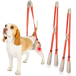 Mixweer 2 Pcs Dog Support Harness for Back Legs Dog Rear Lifting Sling Aid with Handle and Shoulder Strap Hind Leg Support for Pet Mobility Helps Dogs with Poor Stability Joint Injuries (Orange)
