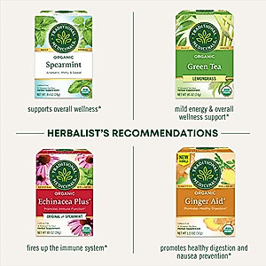 Traditional Medicinals Tea, Organic Moringa, Everyday Wellness, with Spearmint & Sage, 16 Tea Bags