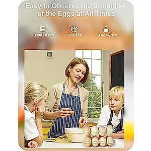 Pintuson Egg Cartons Cheap Bulk 60 Pack - Holds 1 Dozen Clear Blank Egg Cartons for Chicken Eggs - Medium Plastic Egg Carton for Home Ranch Chicken Farm, Commercial Market Display (3x4 Grids)