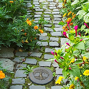 CYnice Stepping Stones - Garden Stepping Stones Outdoor with a Tree of Life and Verse,Outdoor Decorations for Garden Yard Patio Lawn Pathway,10 Inch