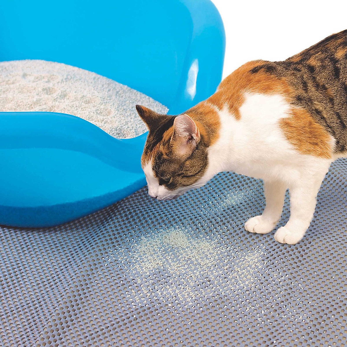 Pioneer Pet Reversible Litter Mat, 36" x 24"