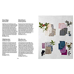 The Wild Dyer: A Maker's Guide to Natural Dyes with Projects to Create and Stitch