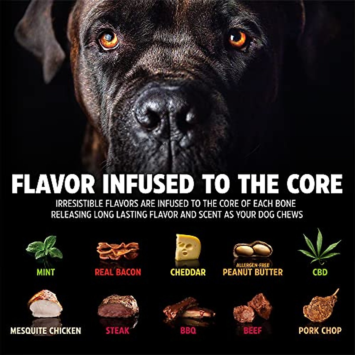 Pet Qwerks Dinosaur BarkBone - Nylon Dog Bone for Aggressive Chewers - Bacon Flavor - 6.5"