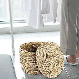 Smala Wheat Straw Woven Storage Basket Storage Basket Innovative Basket Rustic Natural Brown Finish Storage Decorative Basket(Medium )