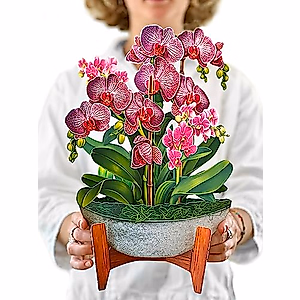 Freshcut Paper Pop Up Cards, Orchid Oasis, 12 Inch Life Sized Forever Flower Bouquet 3D Popup Greeting Cards, Birthday Gift Cards, Gifts for Her with Note Card & Envelope