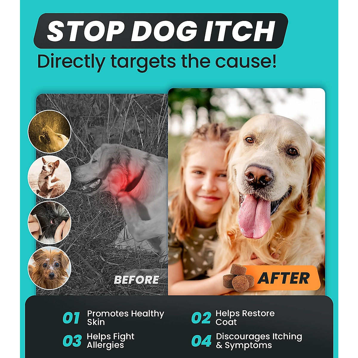 OMIKEE Dog Allergy Chews for Seasonal Allergies, Dog Allergy Relief with Omega 3, Probiotics & Natural Ingredients, Itch Relief for Dogs Allergy, Itching, Paw Biting, Skin Health 120 Ct Chicken Flavor